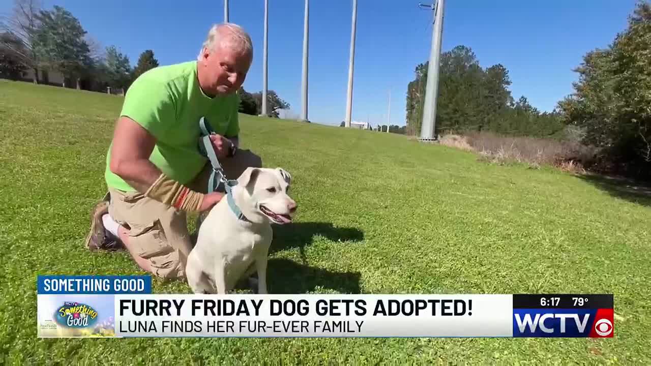 Something Good: Happy go-lucky Furry Friday dog adopted