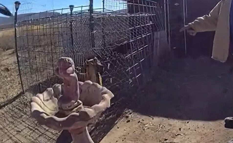 Animal sanctuary in southern Arizona sparks concerns
