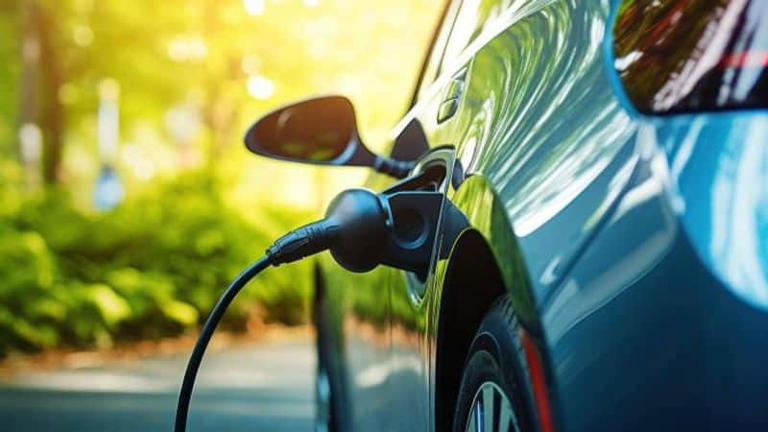 Electric Vehicle subsidy guide: Get lakhs in discounts; step-by-step ...