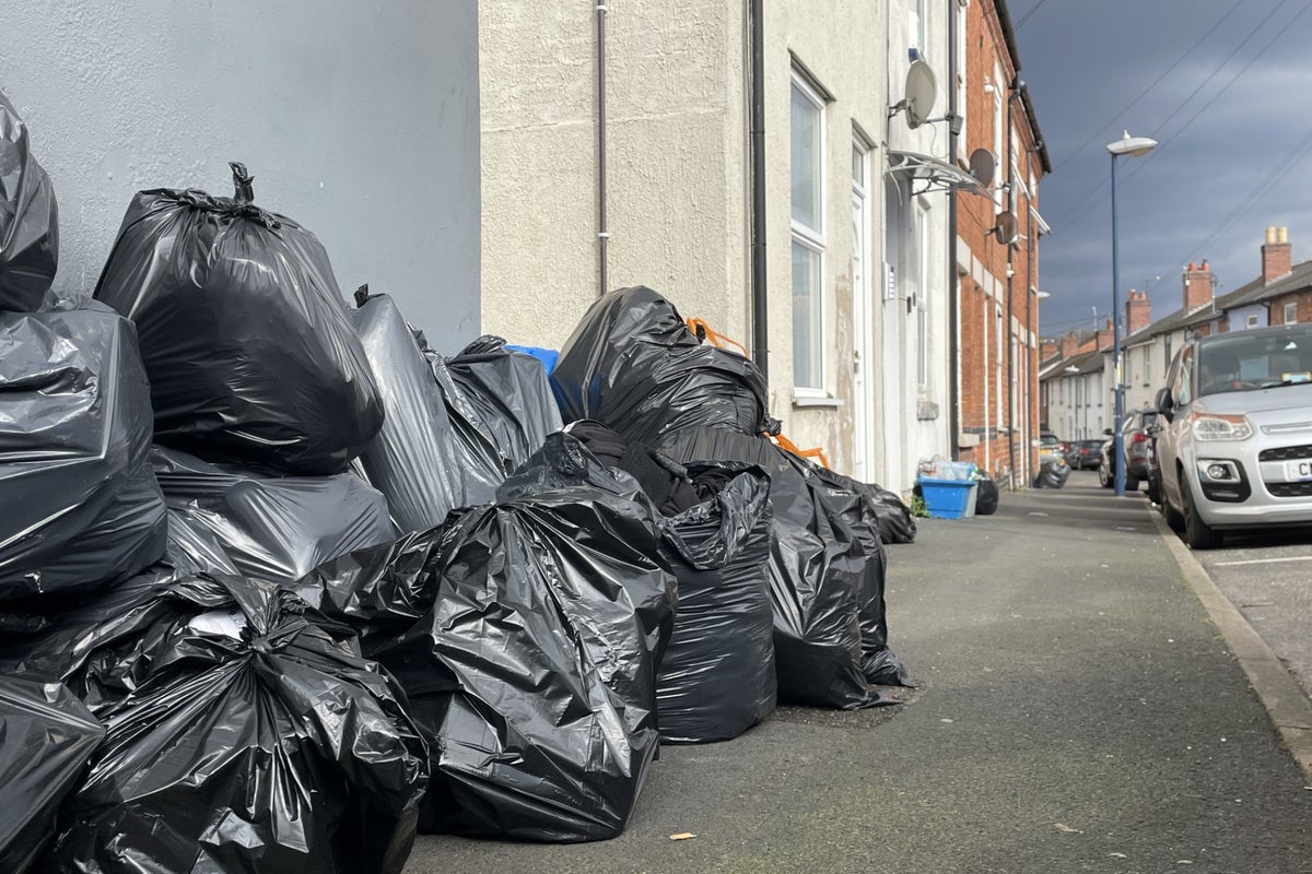 Birmingham bin strike: Public health warning as rodents ‘feast’ on ...