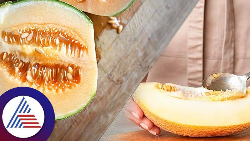 Muskmelon Seeds: ఖర్బుజా గింజల్లో ఇన్ని పోషకాలున్నాయా?
