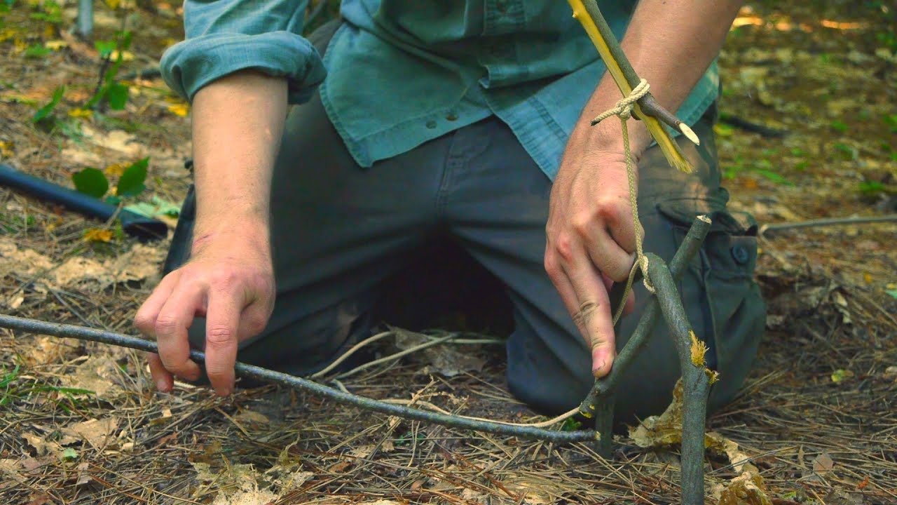 8 Simple Traps Every Survivalist Should Know How to Set