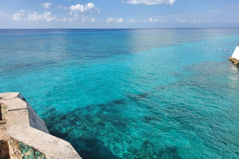 Best Time to Visit Cozumel for Weather, Crowds, and Deals