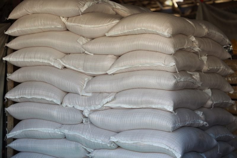 Morocco emerges as key buyer of Russian wheat as Moscow expands ...