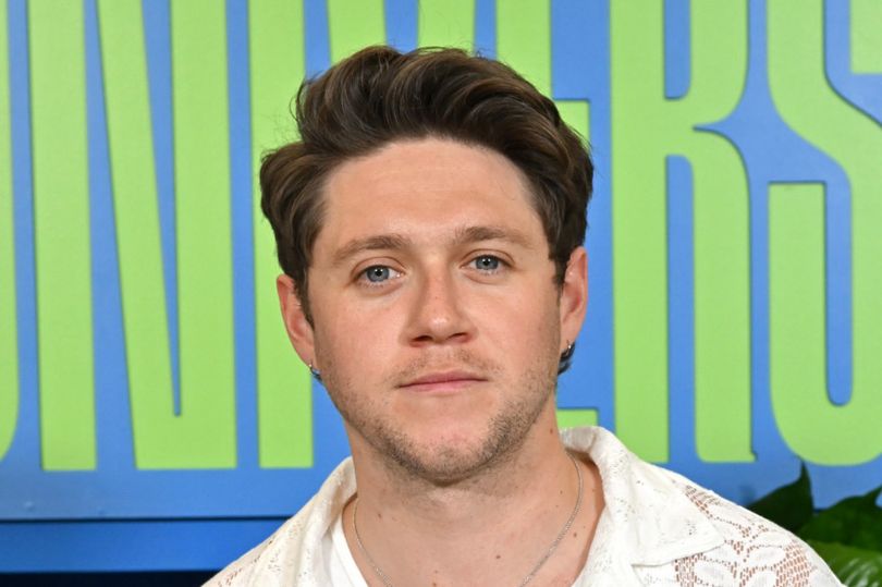 Niall Horan shares new update after death of One Direction bandmate ...