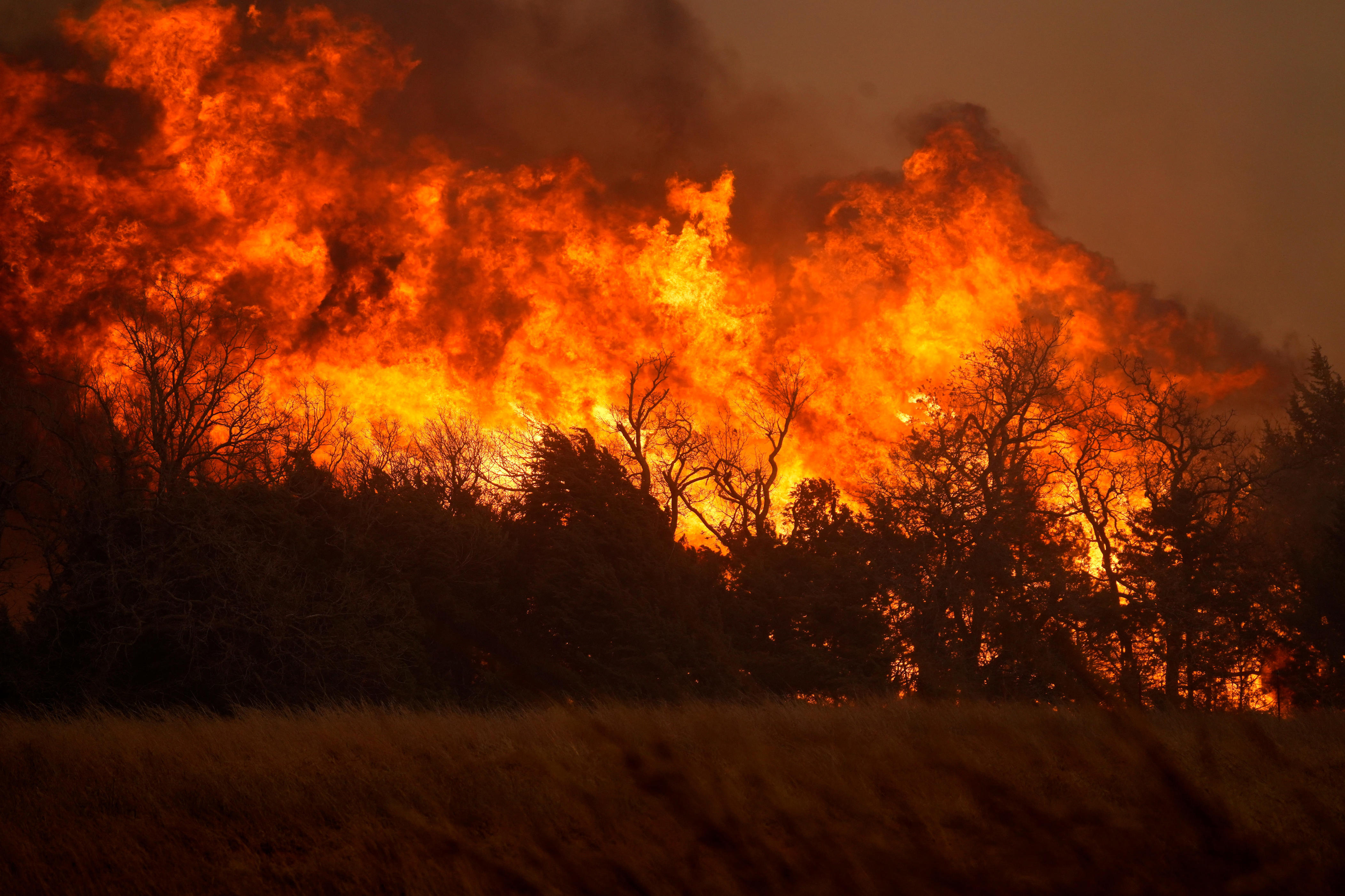 Near-critical fire danger expected Friday after multiple grass fires ...