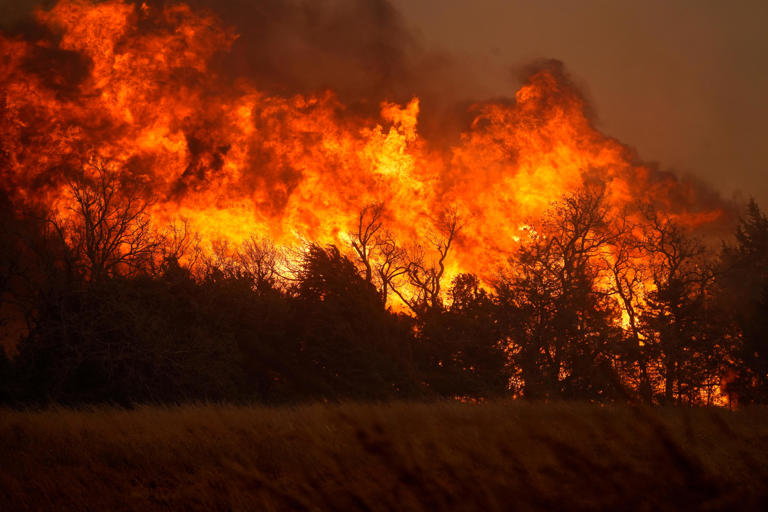 Near-critical fire danger expected Friday after multiple grass fires ...