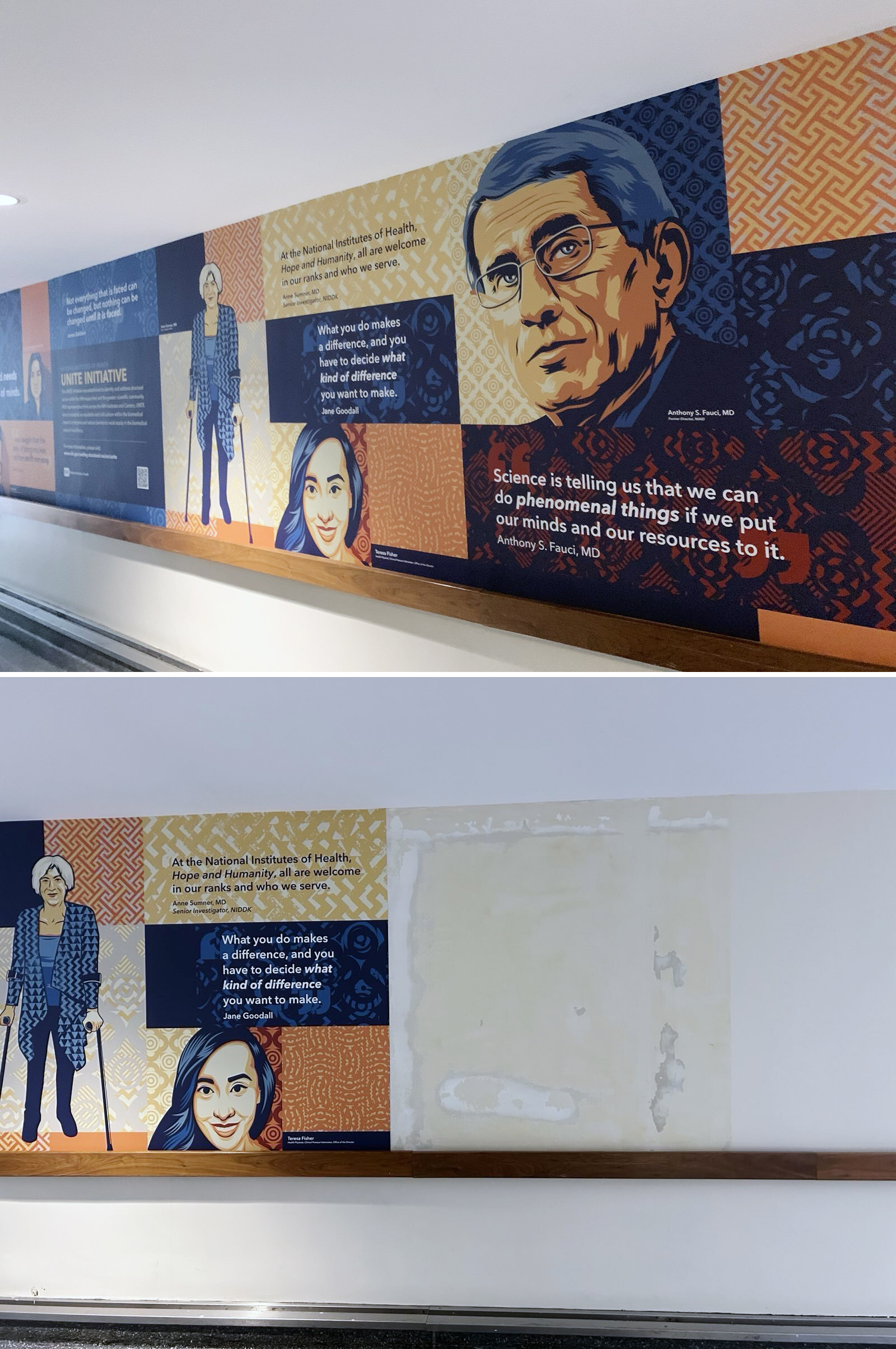 A mural of Anthony Fauci was meant to inspire staff. Then NIH took it down.