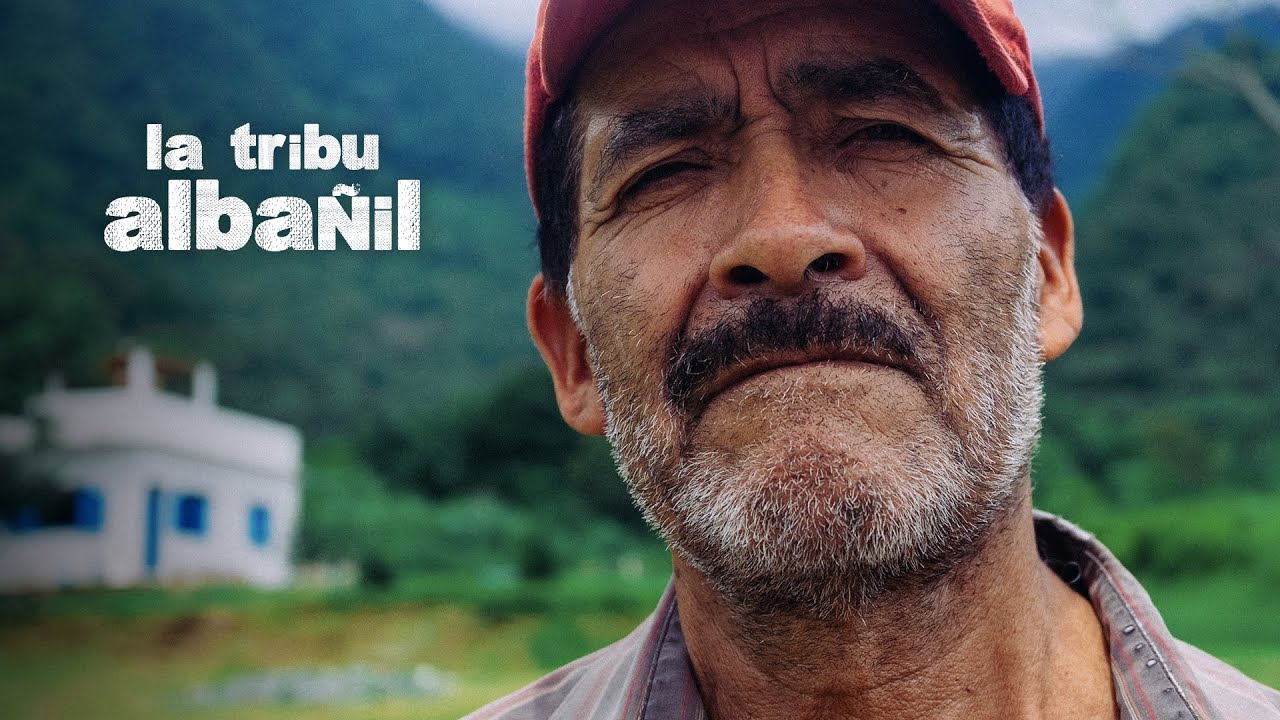 Soy Tribu - MSN