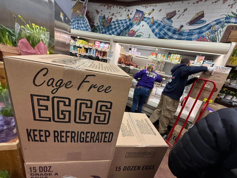 Egg-cessive: NYC Trader Joe’s cracks down on shoppers buying more than ...