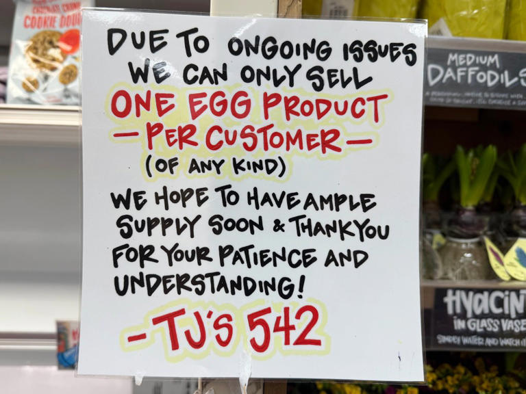 Egg-cessive: NYC Trader Joe’s cracks down on shoppers buying more than ...