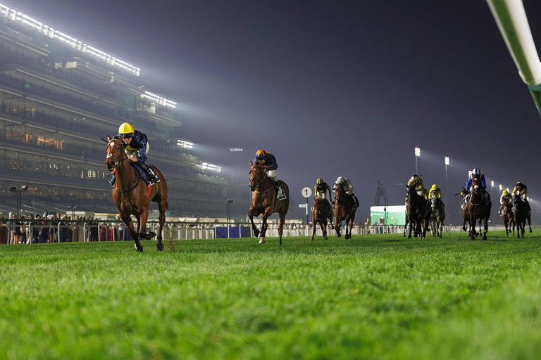 Title race on fire as Meydan's Carnival finale sets stage for Dubai ...