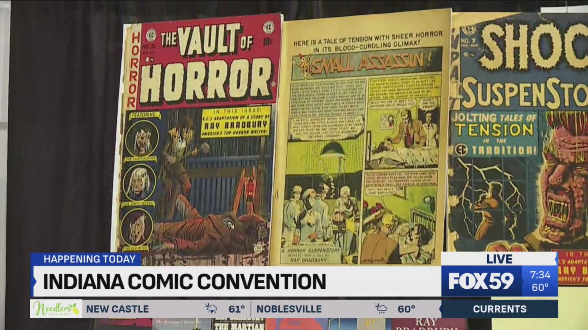 Indiana Comic Convention 2025 in Indianapolis for second day