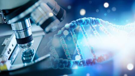 Paul-Ehrlich- und Ludwig-Darmstaedter-Preis für Forschung zum Immunsystem