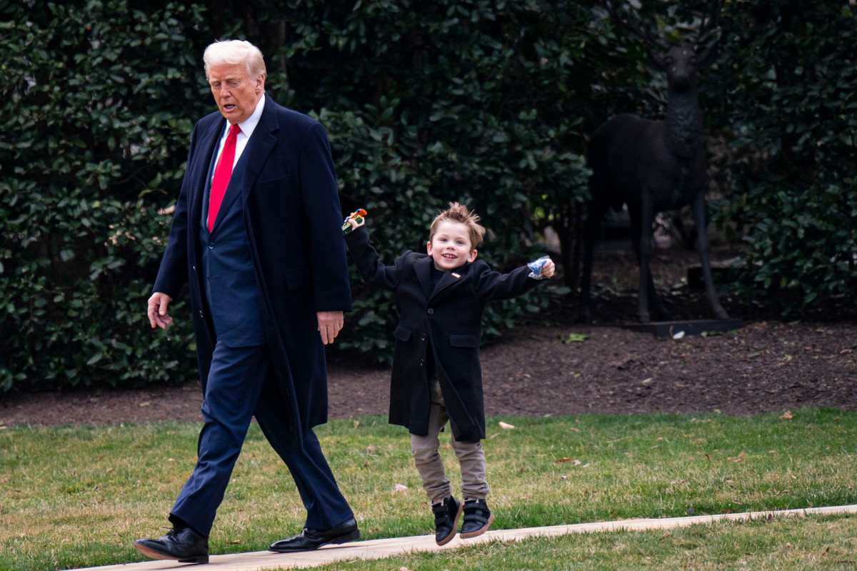 Elon Musk’s 4-Word Response to Viral Photo of His Son and Donald Trump