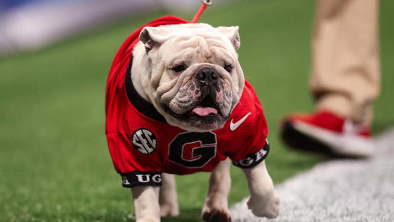 Georgia Football 2026 Recruiting Class Update