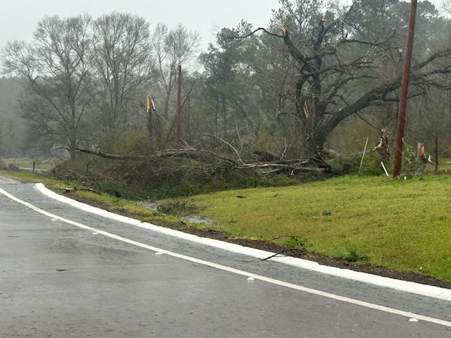 Three killed during severe storms in Mississippi