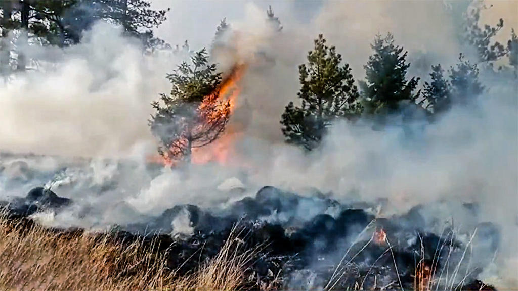 Wildfires popping up across Texas due to strong winds and dry conditions