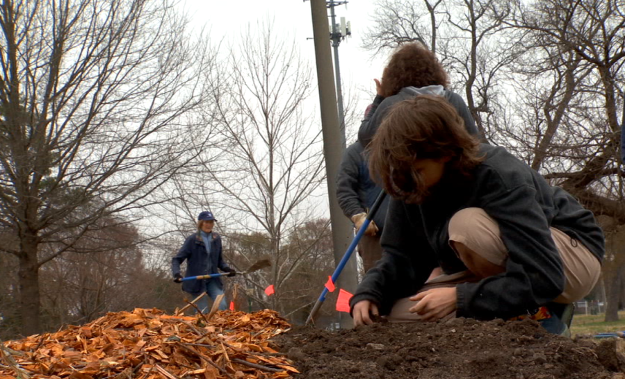 Hundreds of native trees, shrubs planted for Richmond’s first-ever tiny ...