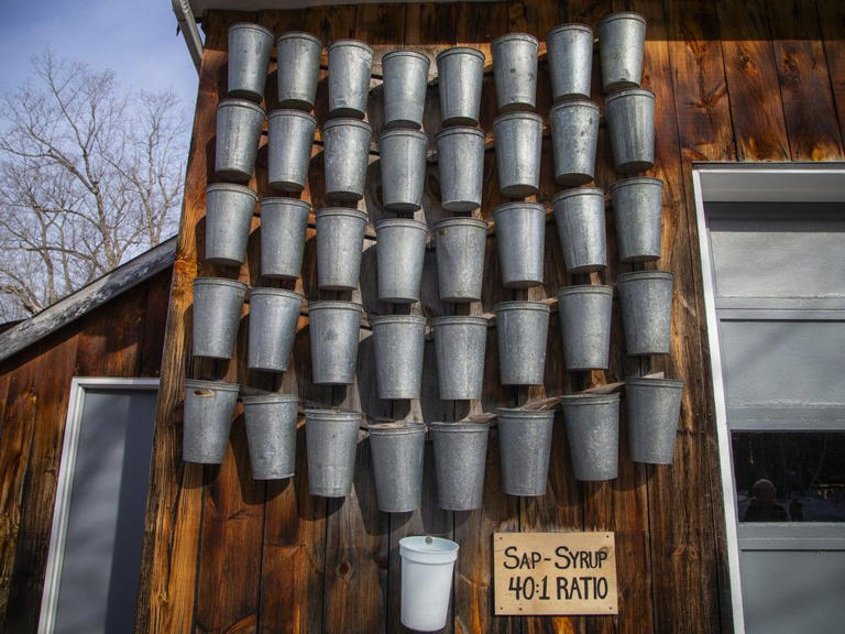 Sugar bush Saturday: First official boil of the year at Fulton's