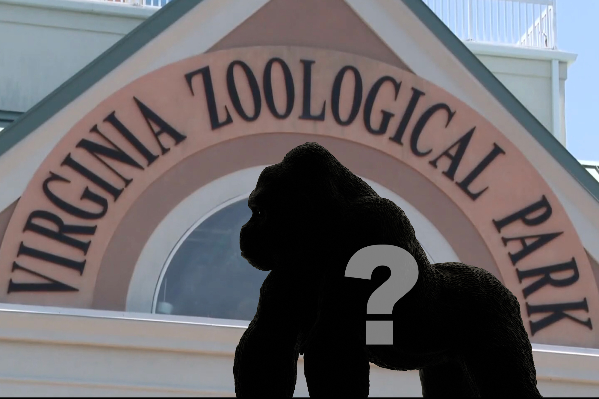 Yes, we have no gorillas: Virginia Zoo subject of escape rumor