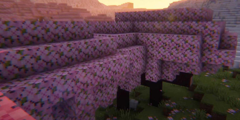 20 Best Minecraft Seeds For Cherry Blossom