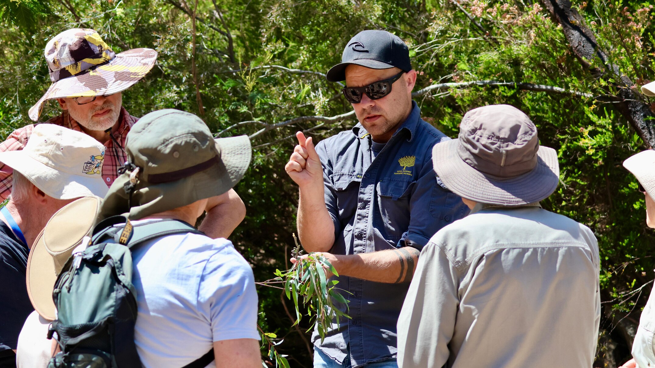 Community key to protecting endangered Avon peppermint gum