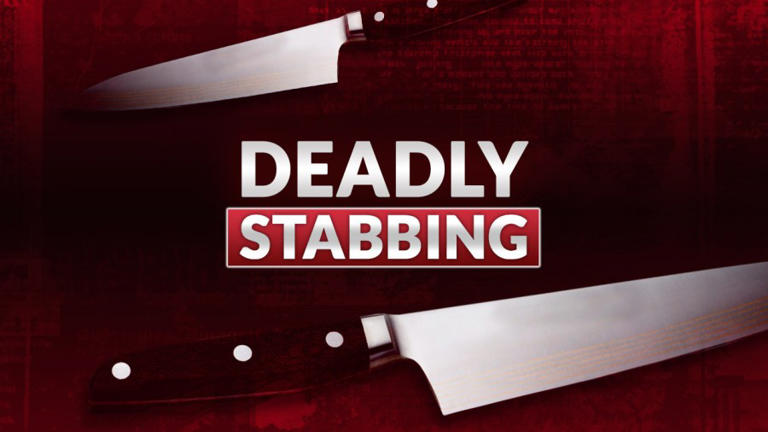 UPDATE: Arrest made in fatal southside stabbing UPDATE: Arrest made in fatal southside stabbing