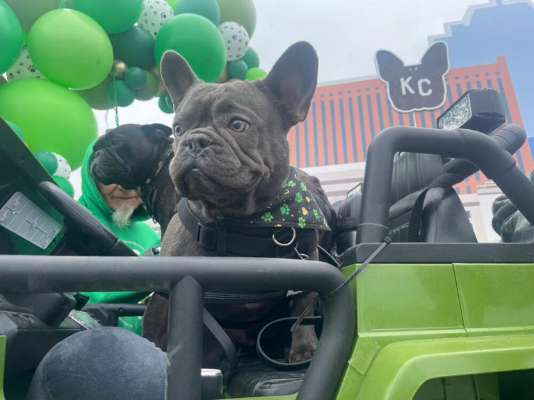 Snake Saturday parade to air live on KSMO-TV, stream on KCTV5.com