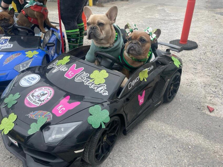 Snake Saturday parade to air live on KSMO-TV, stream on KCTV5.com