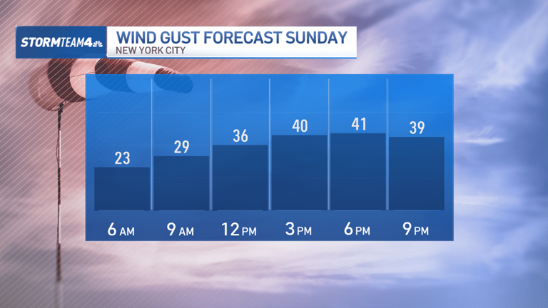 Powerful storm threatens 50 mph wind gusts, rapid rainfall Sunday: What to know