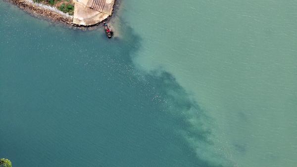 融江今年首现“泾渭分明”景观