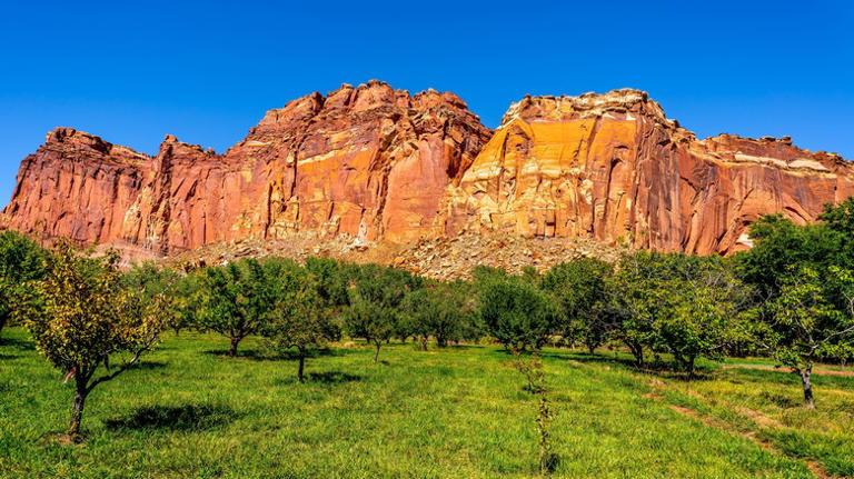 Hidden In Utah's Capitol Reef National Park Is A Charming Homestead ...