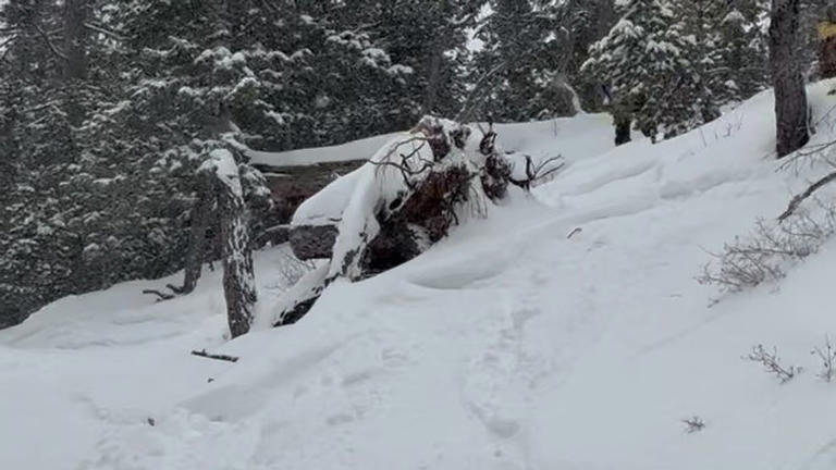 Lee Canyon nears average snowfall with Miracle March storm