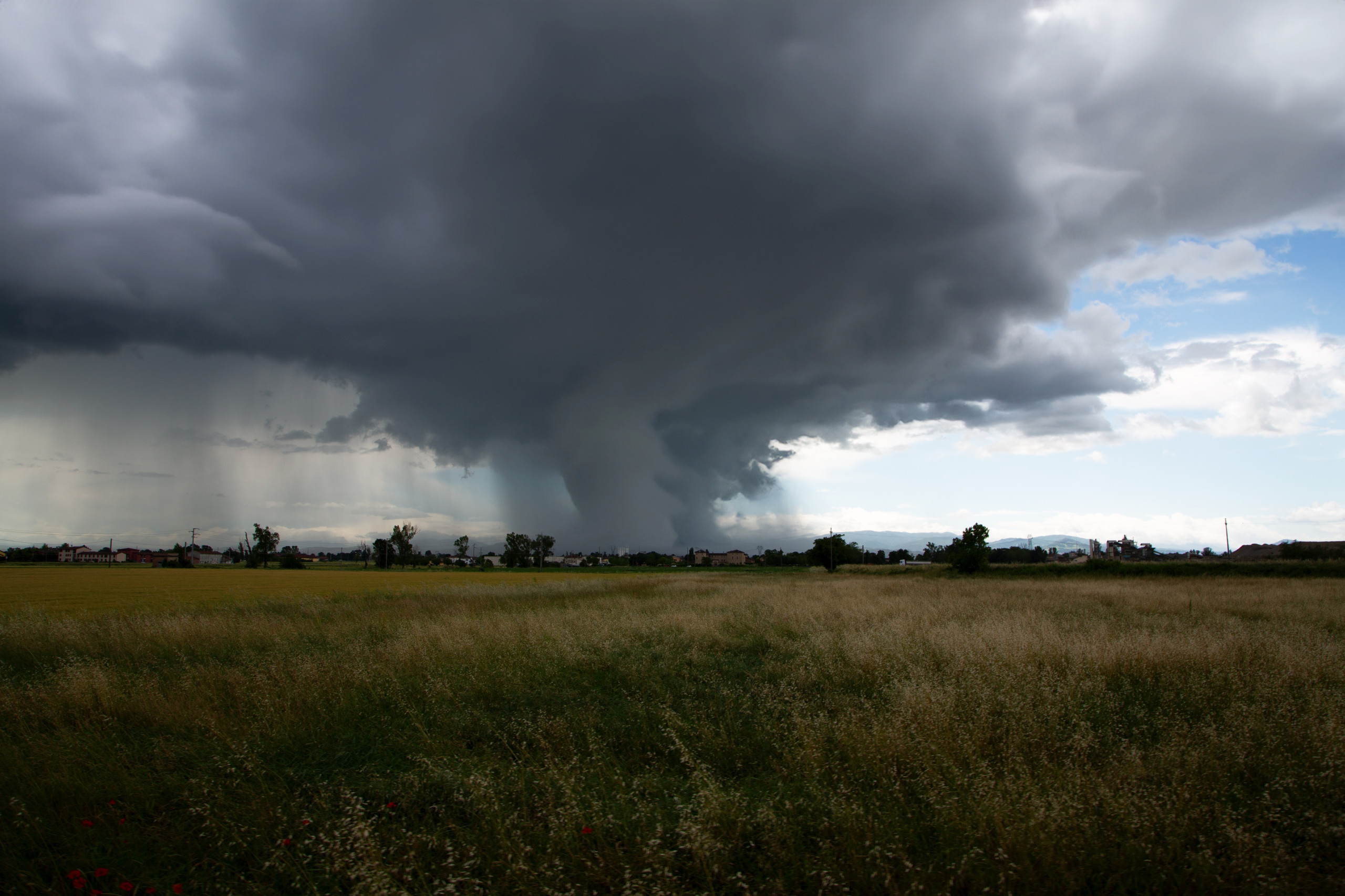 Climate crisis: Scientists use 'disaster DNA' to prevent future trends