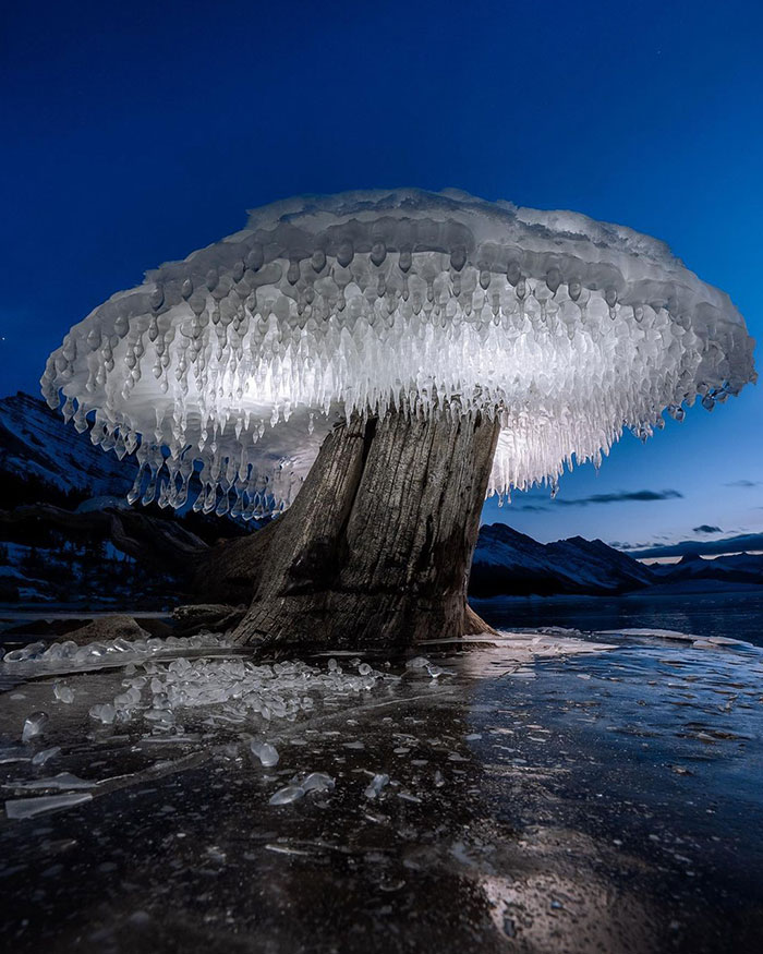 Our Amazing World: 30 Fascinating Of Rare and Unique Sightings