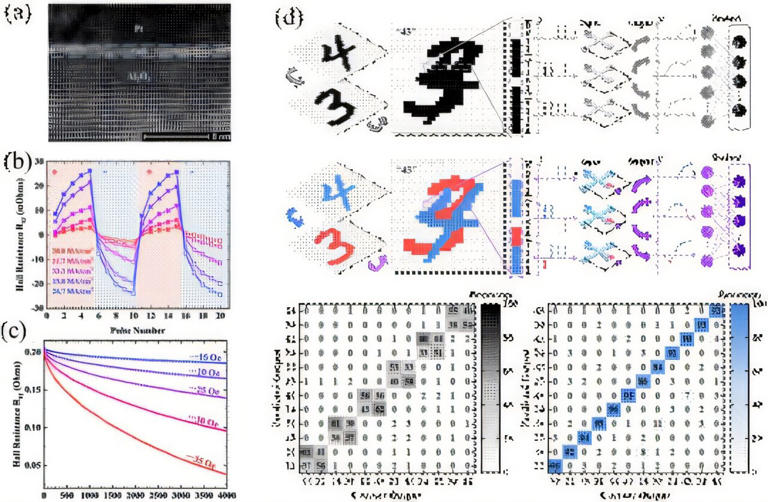 Antiferromagnetic neuromorphic memory: New spintronic device achieves ...