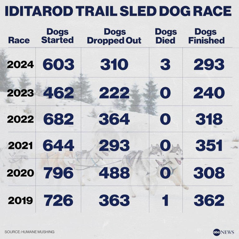 Animal abuse allegations spark movement to end Iditarod sled dog race