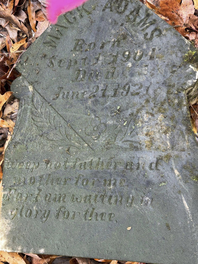 Black graves are being moved to make way for an industrial park ...