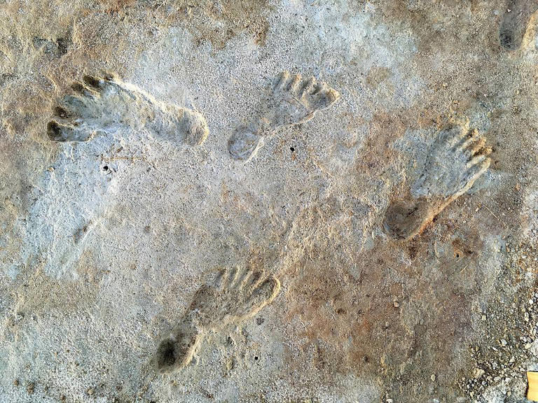 Oldest Vehicle Tracks in History Found at White Sands: 22,000 Years Old