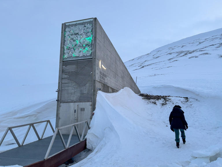Antarctica's 'Doomsday vault' takes another shipment of seeds