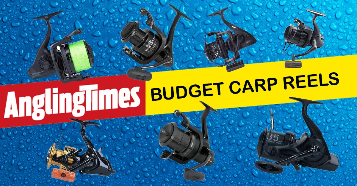 Best budget carp reels | Our top picks under £100