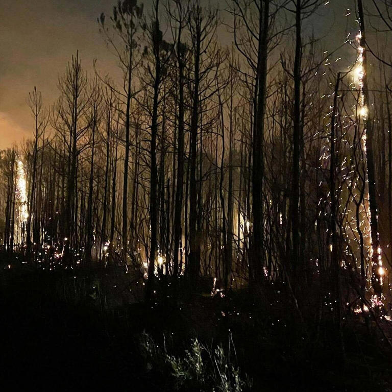 Carolina fire maps show where wildfires burn in North and South Carolina