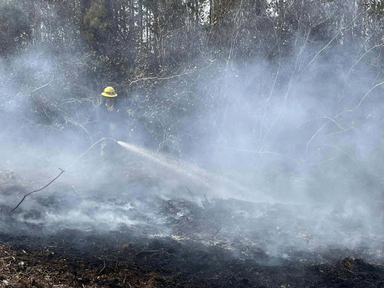 Map shows over 170 fires burning across the Carolinas