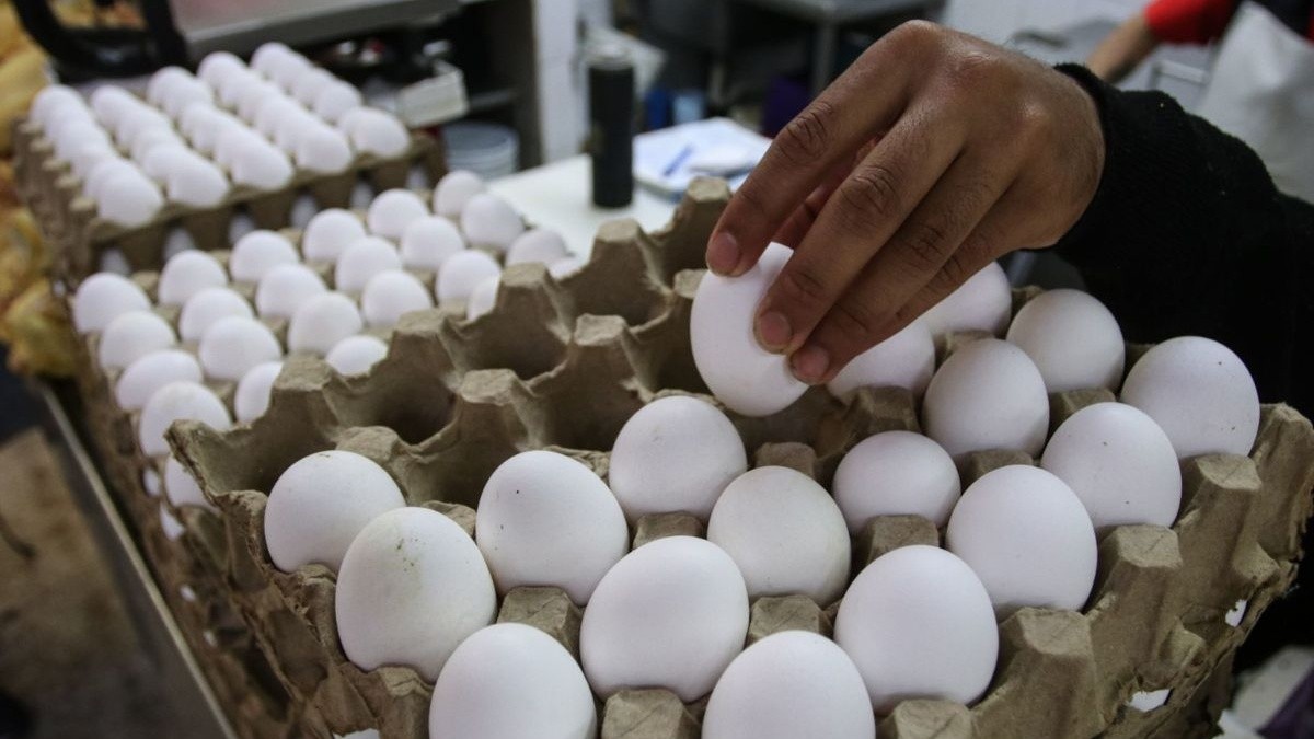 Eggs per unit: This is how they seek to combat the price increase in ...