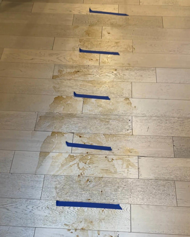 Ranked: I tested 5 steam mops all over my apartment for a month, and ...