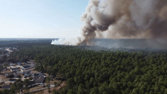 Drone Footage Shows Smoke Billowing From Carolina Forest Fire