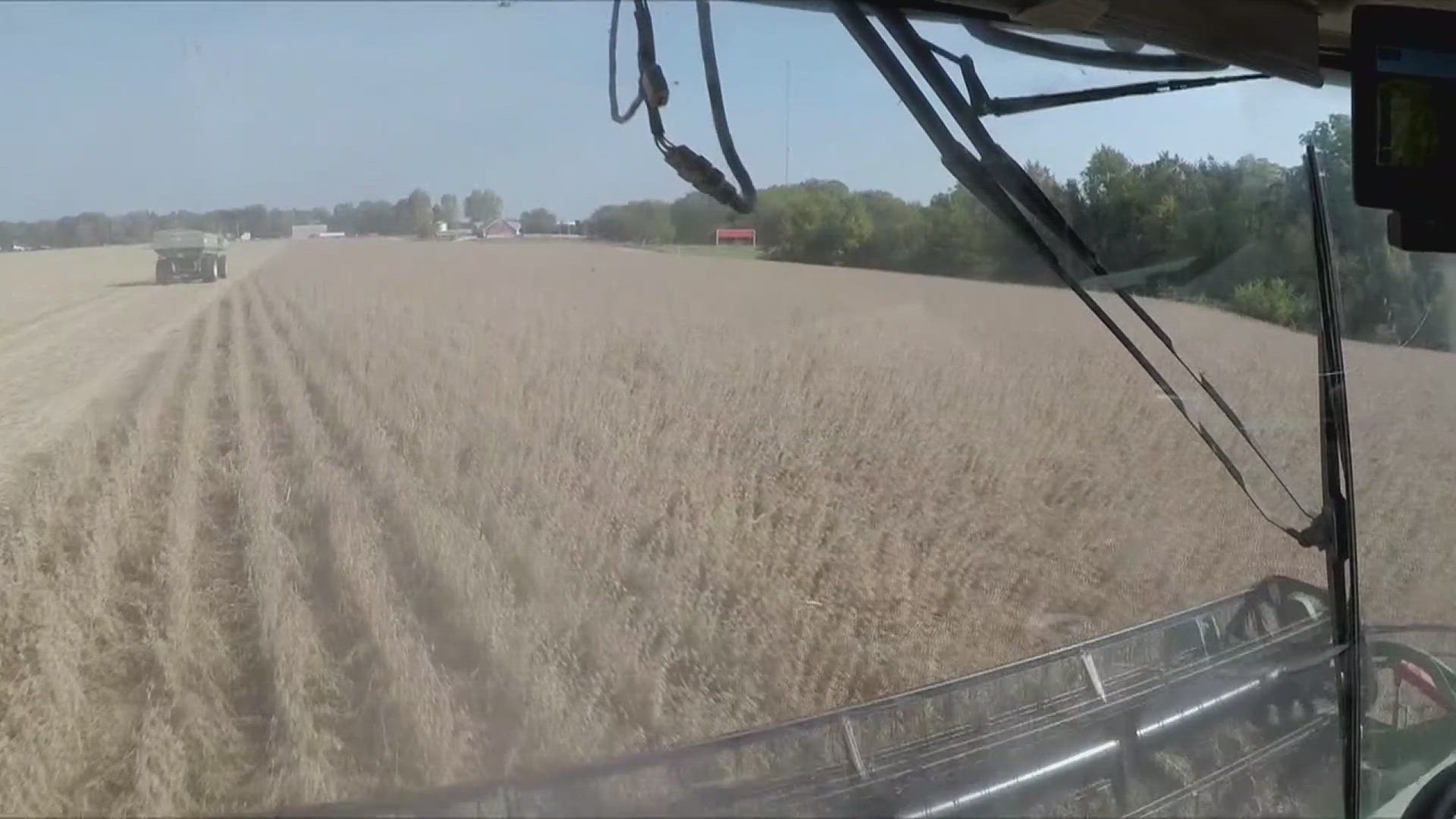 Breaking down how corn and soybean trade could be impacted by tariffs