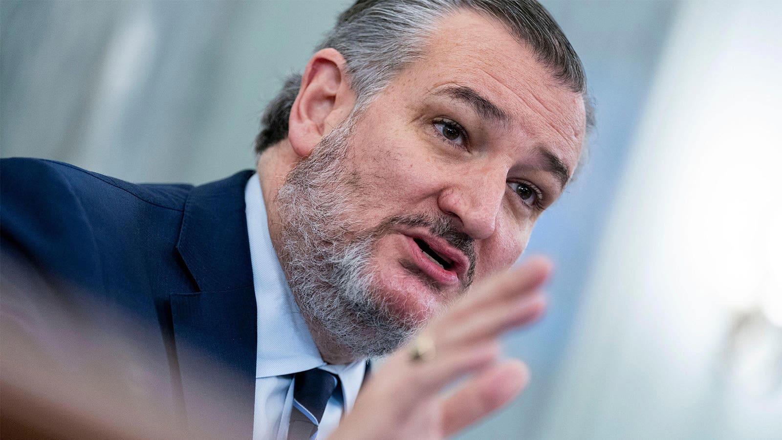 A Device to Stop Bleeding. A Study on Mint Plants. Research Ted Cruz ... A Device to Stop Bleeding. A Study on Mint Plants. Research Ted Cruz ...