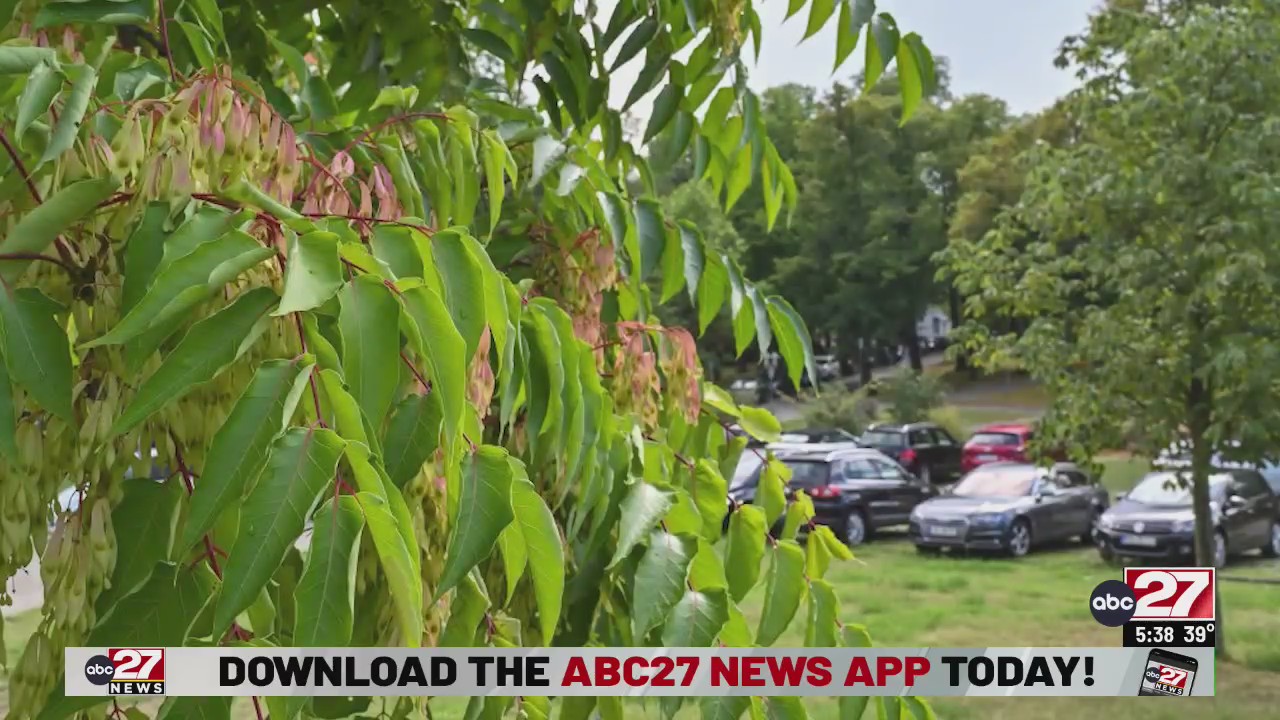 Fighting invasive plant species in PA